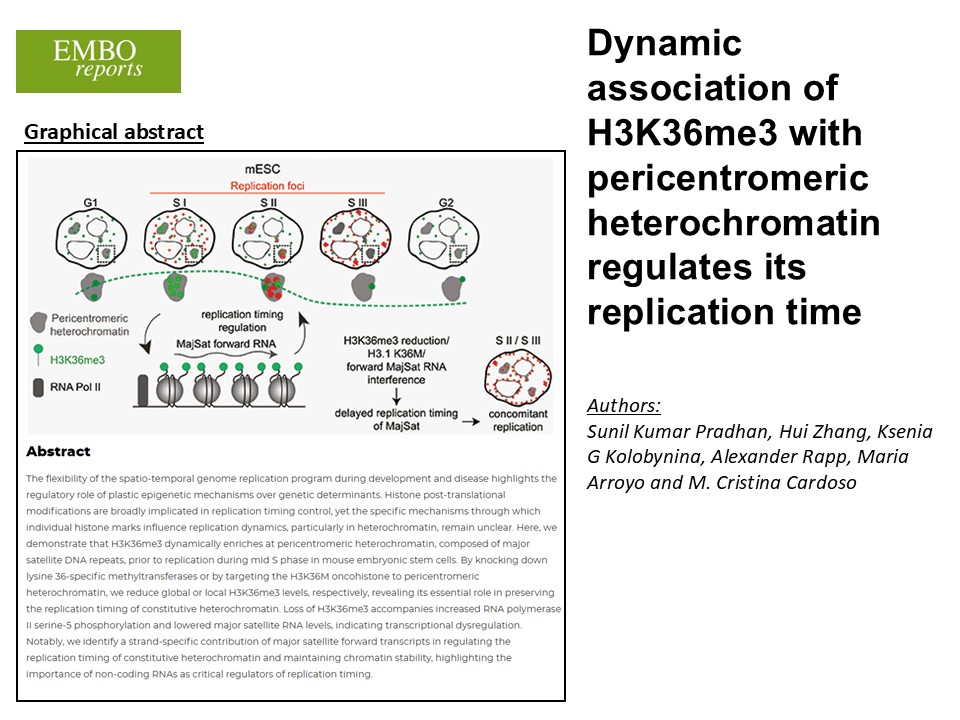 New publication by the Cardoso lab on how the dynamic association of ...