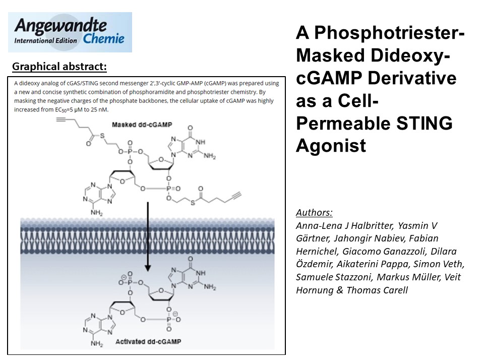New publication by the Carell lab on a Phosphotriester-Masked Dideoxy ...