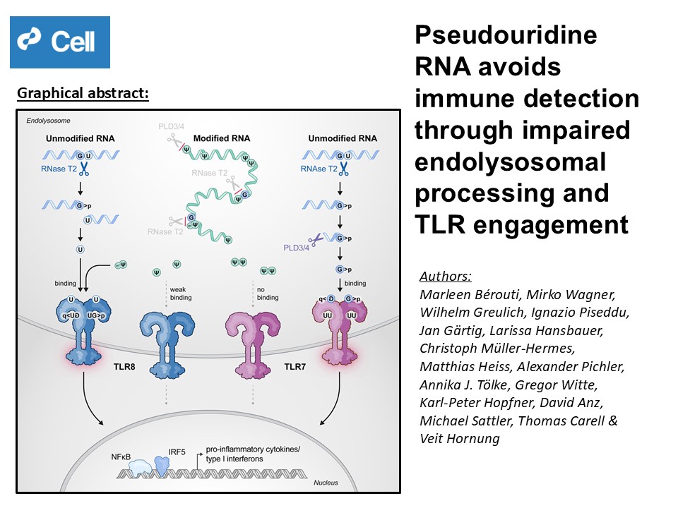 New joint publication by the Carell and Hopfner labs on how ...
