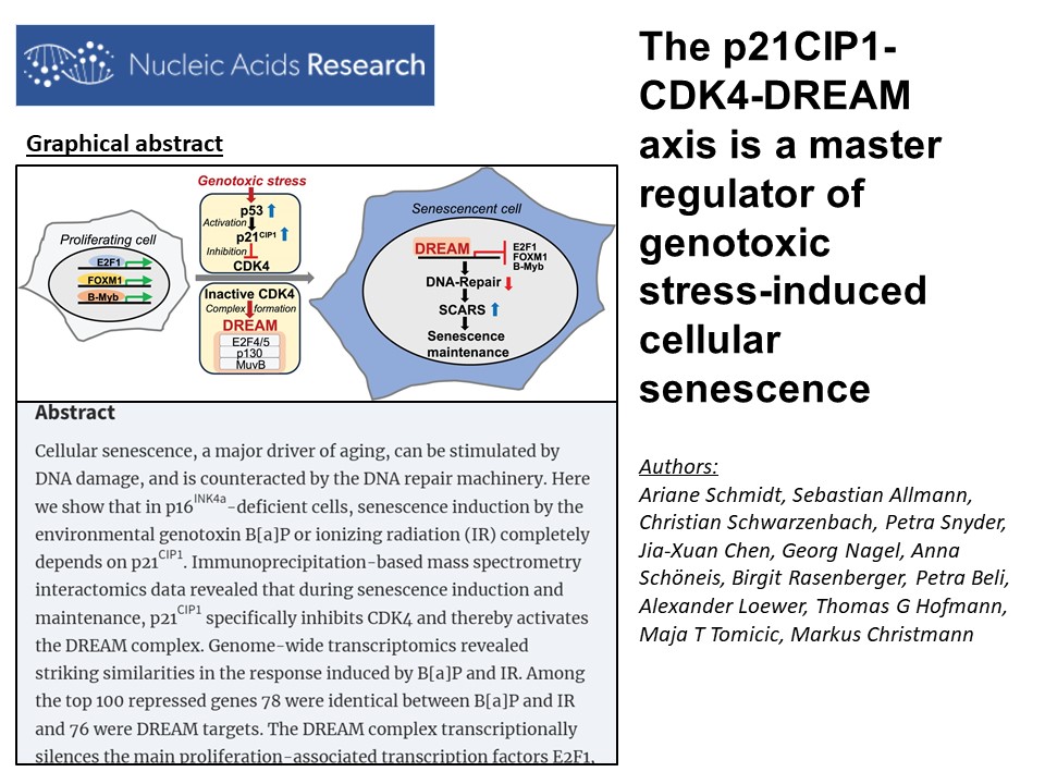 New joint publication by the Beli, Christmann and Hofmann labs on how ...