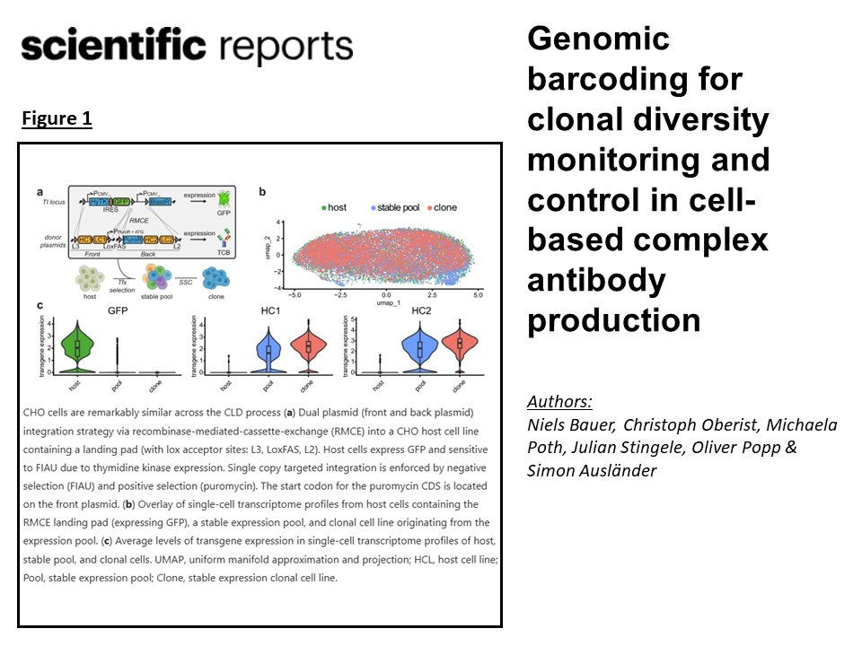 New publication by the Stingele lab on genomic barcoding for clonal ...