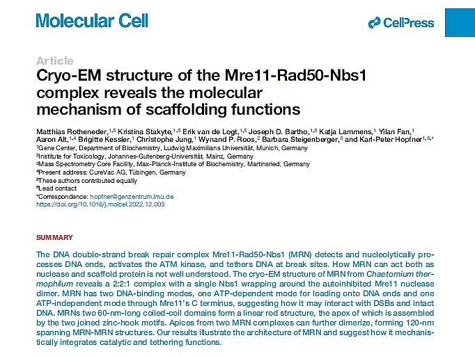 New publication from the Hopfner lab on how MRN integrates catalytic ...