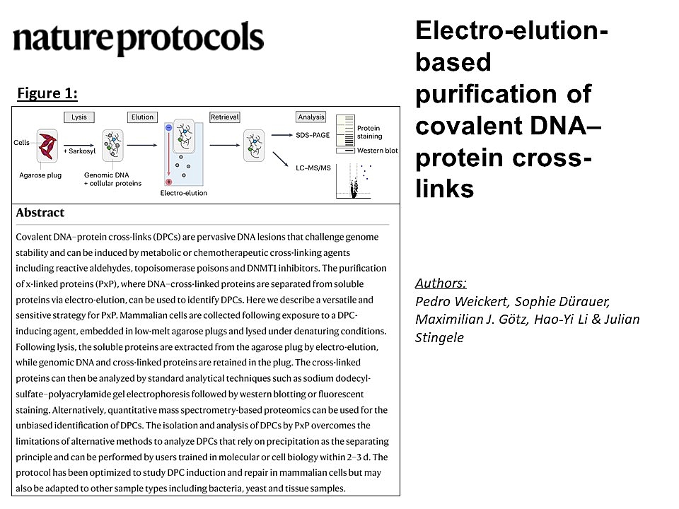 New publication by the Stingele lab on electro-elution-based ...