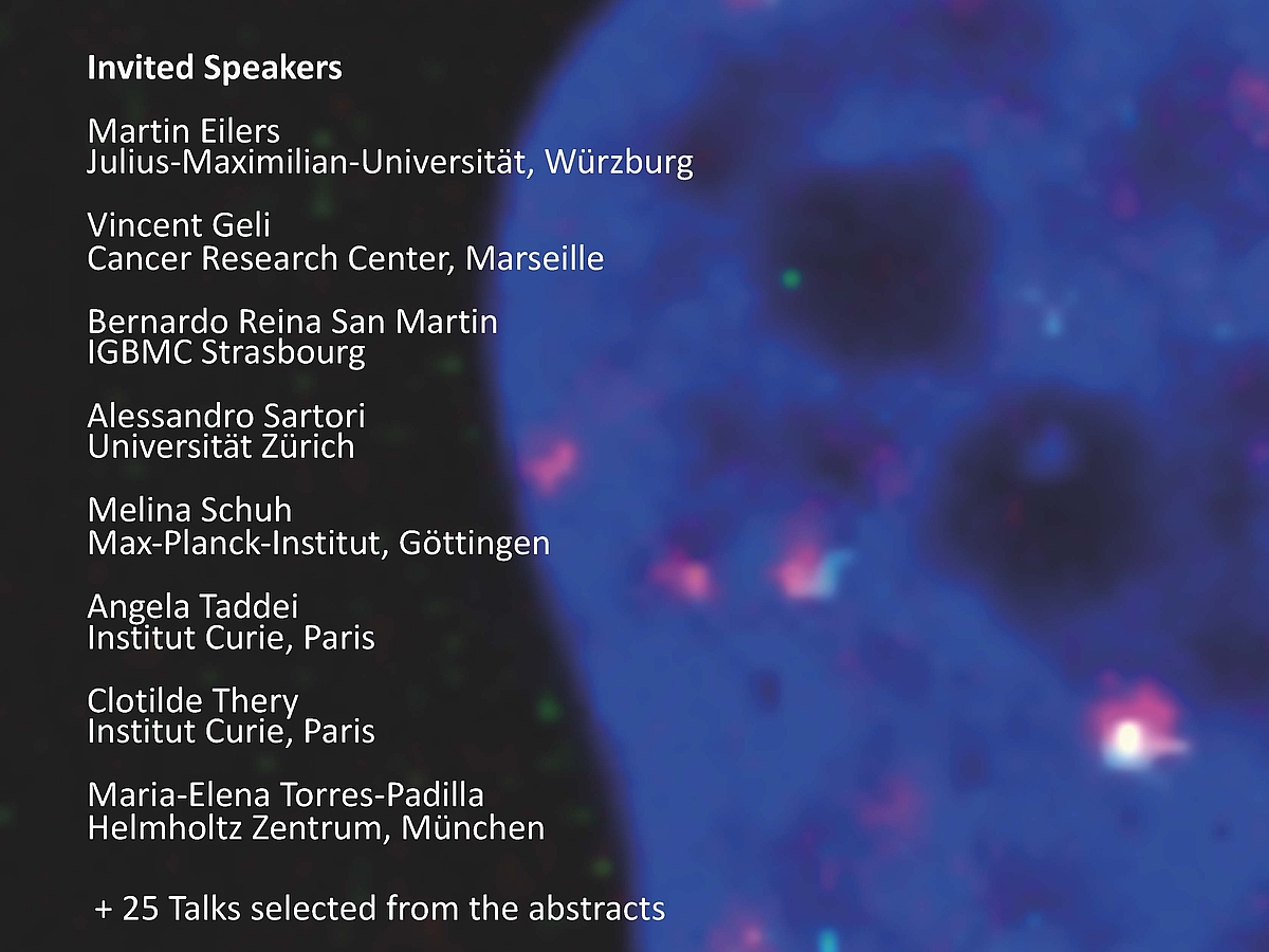 6th German-French DNA Repair Meeting - SFB 1361