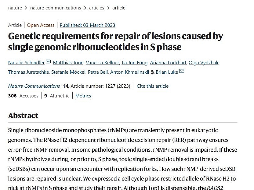 New publication from the Luke lab on the repair of lesions caused by single genomic ...