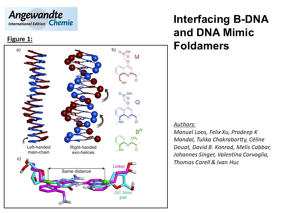 New publication by the Carell lab on interfacing B-DNA and DNA Mimic ...